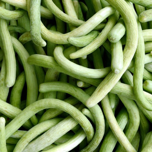 Cucumber Armenian, Yardlong Cucumber, Snake Melon, Slicing Cucumber, H ...