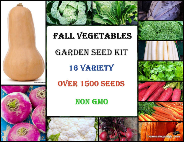 Fall Vegetables Garden Seeds Kit/ 16 variety Seeds Kit – The Amazing Seeds